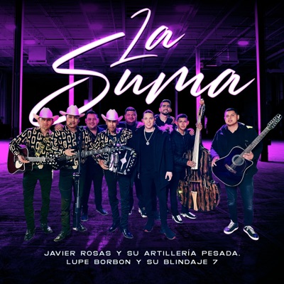 Meaning of Song 'La Suma' by Javier Rosas y Su Artillería Pesada & Lupe ...